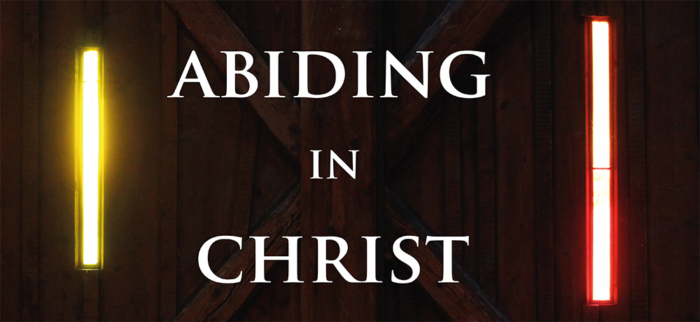 Abiding in Christ: Week of Prayer for Christian Unity 2021 – Churches ...