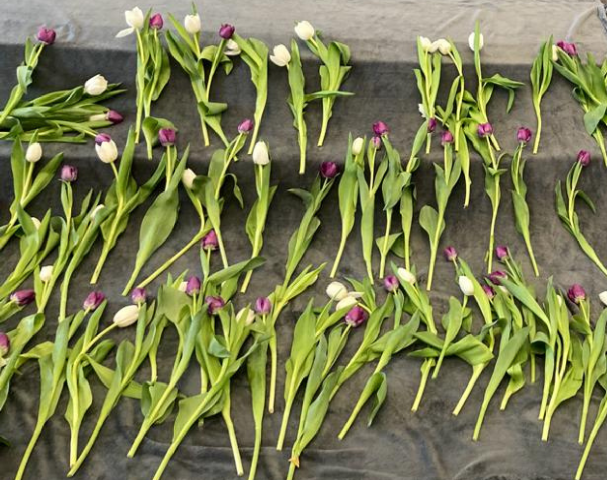 OneBodyOneFaith Memorial Service – Churches Together in England