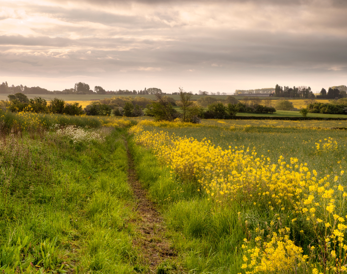 Webinar: Researching mission and ministry in rural contexts – 10 July 2024 – Churches Together ...