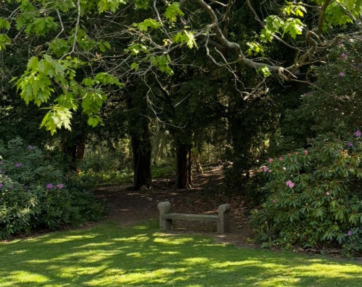 Beauty in brokenness: A quiet day of reflection – Churches Together in England