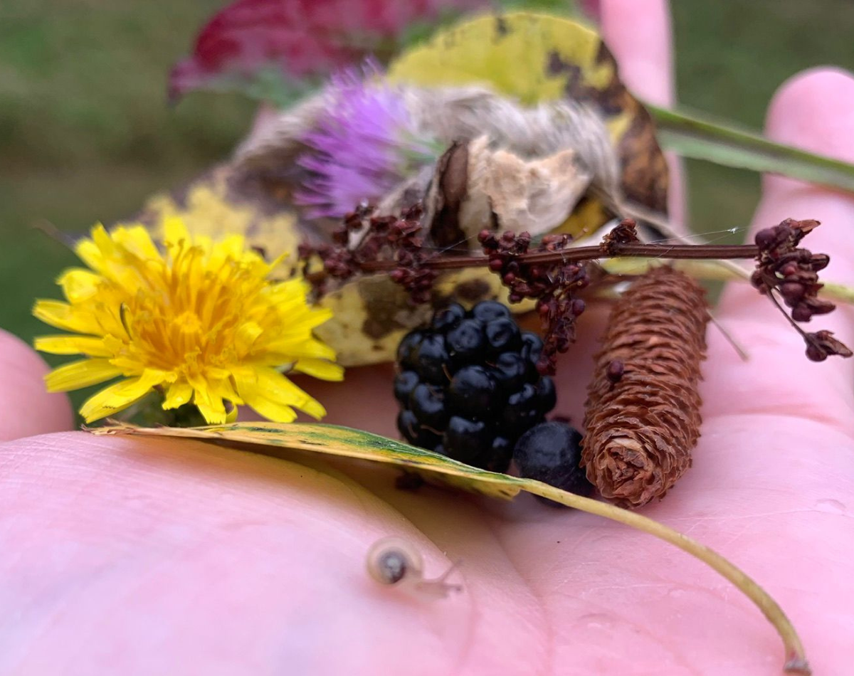 Rural Missions strengthens children’s, youth, and family ministry. – Churches Together in England